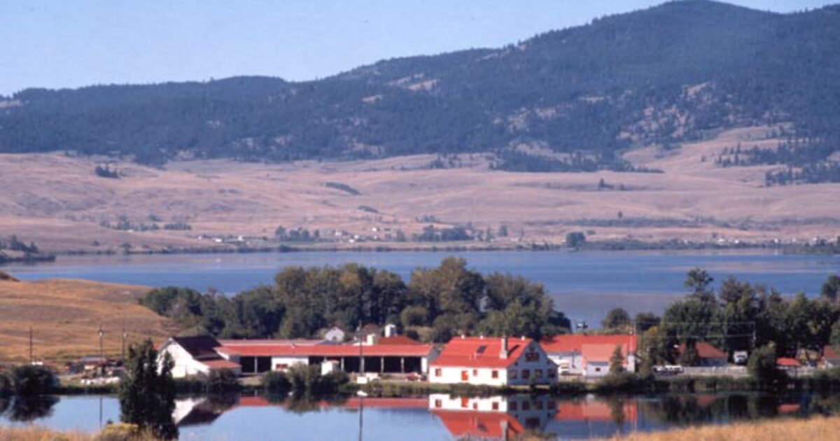 The largest cattle ranch in Canada | Unique Properties