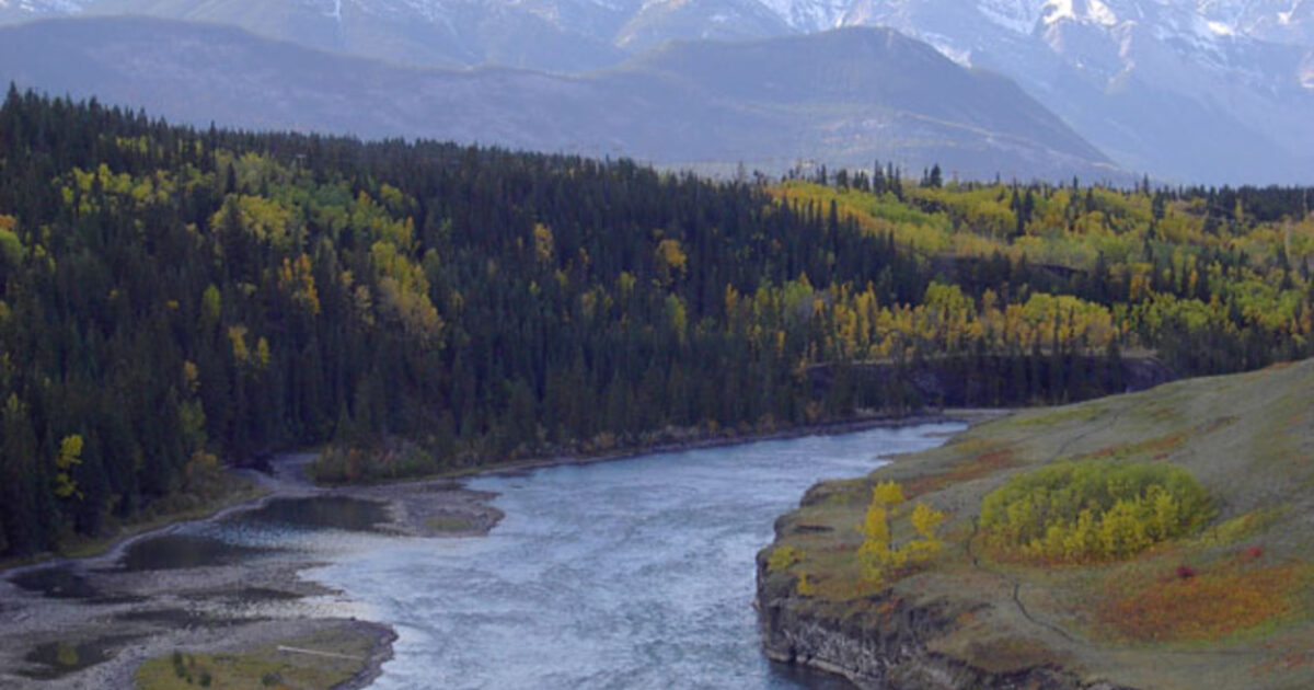 Seebe Lands | Unique Properties